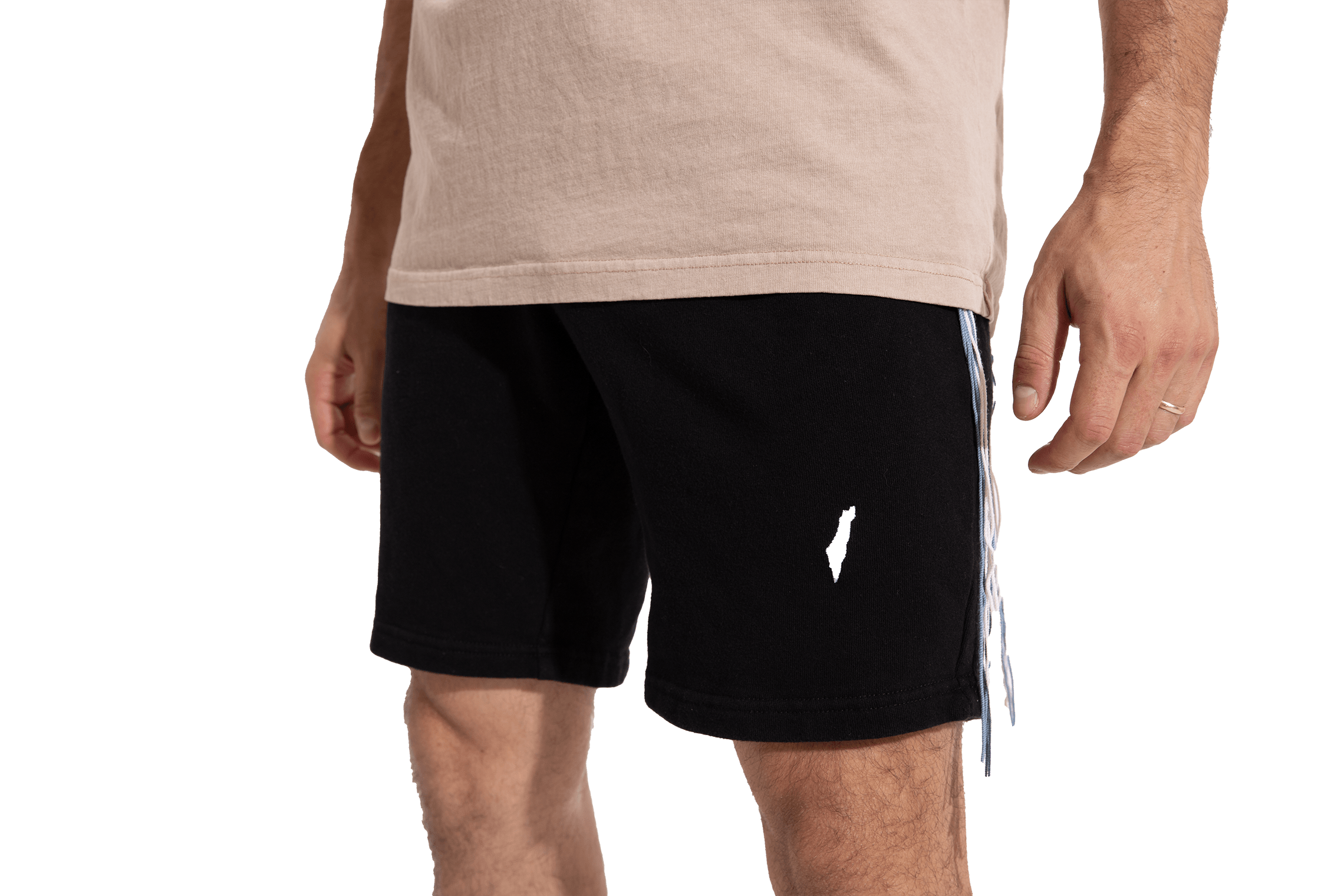 Men's Shorts – Promise State